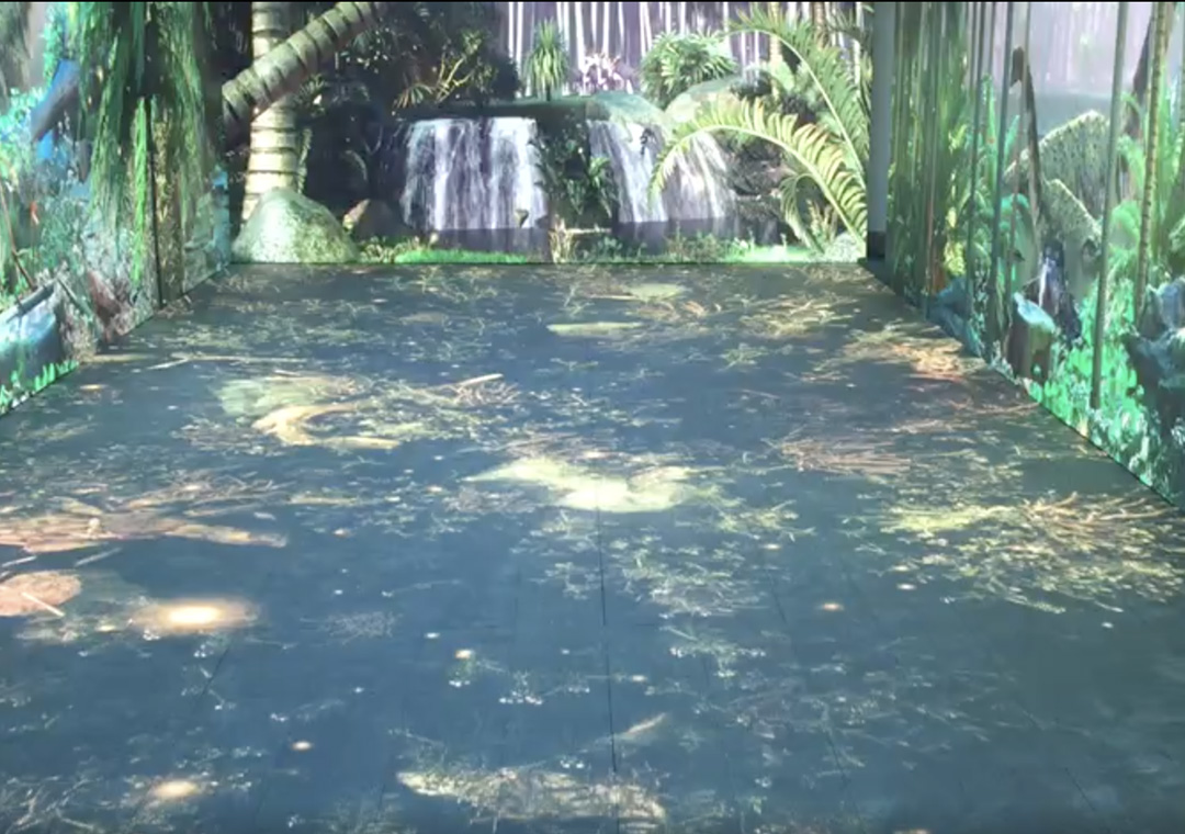 Video - HARBOR VISUAL